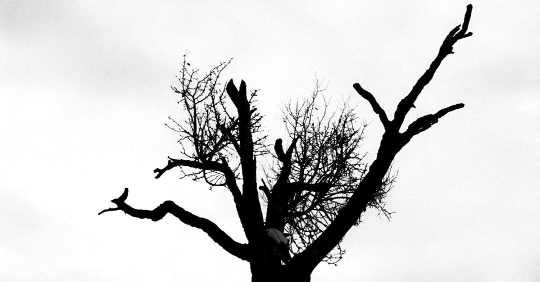 Remords ou regrets : quelles différences